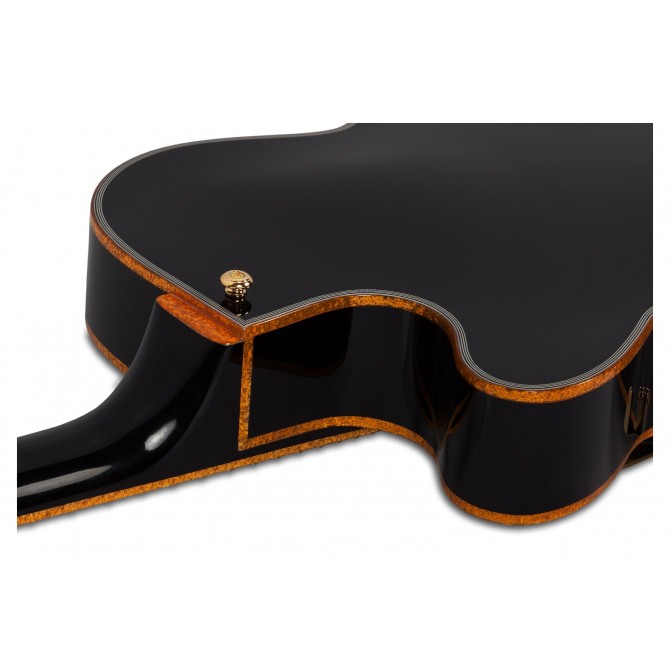 SCHECTER Coupe Black finition Brillant Or